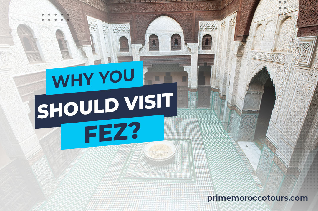 That's Why you should visit Fez: Best of Fes