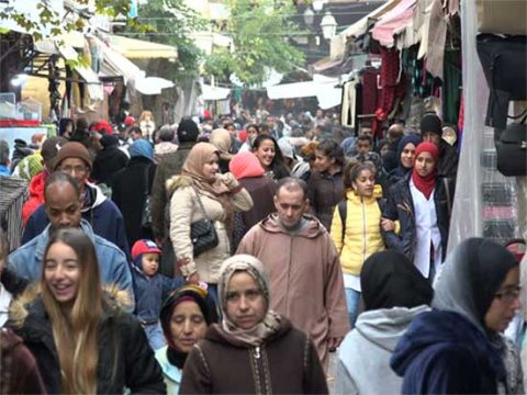 Expert Private Local Morocco Tours Agency